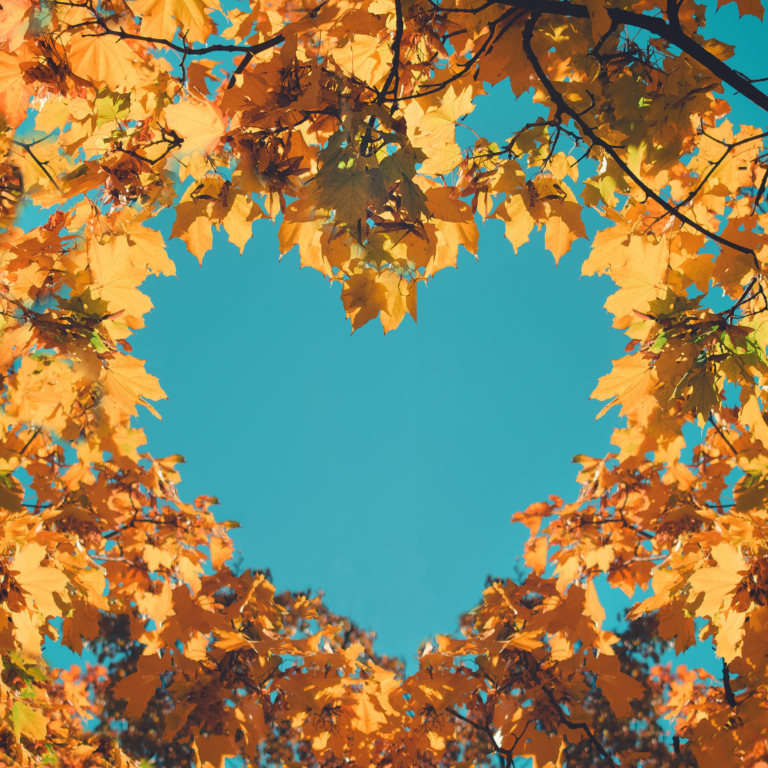 Stay Safe This Fall : CA Department of Developmental Services