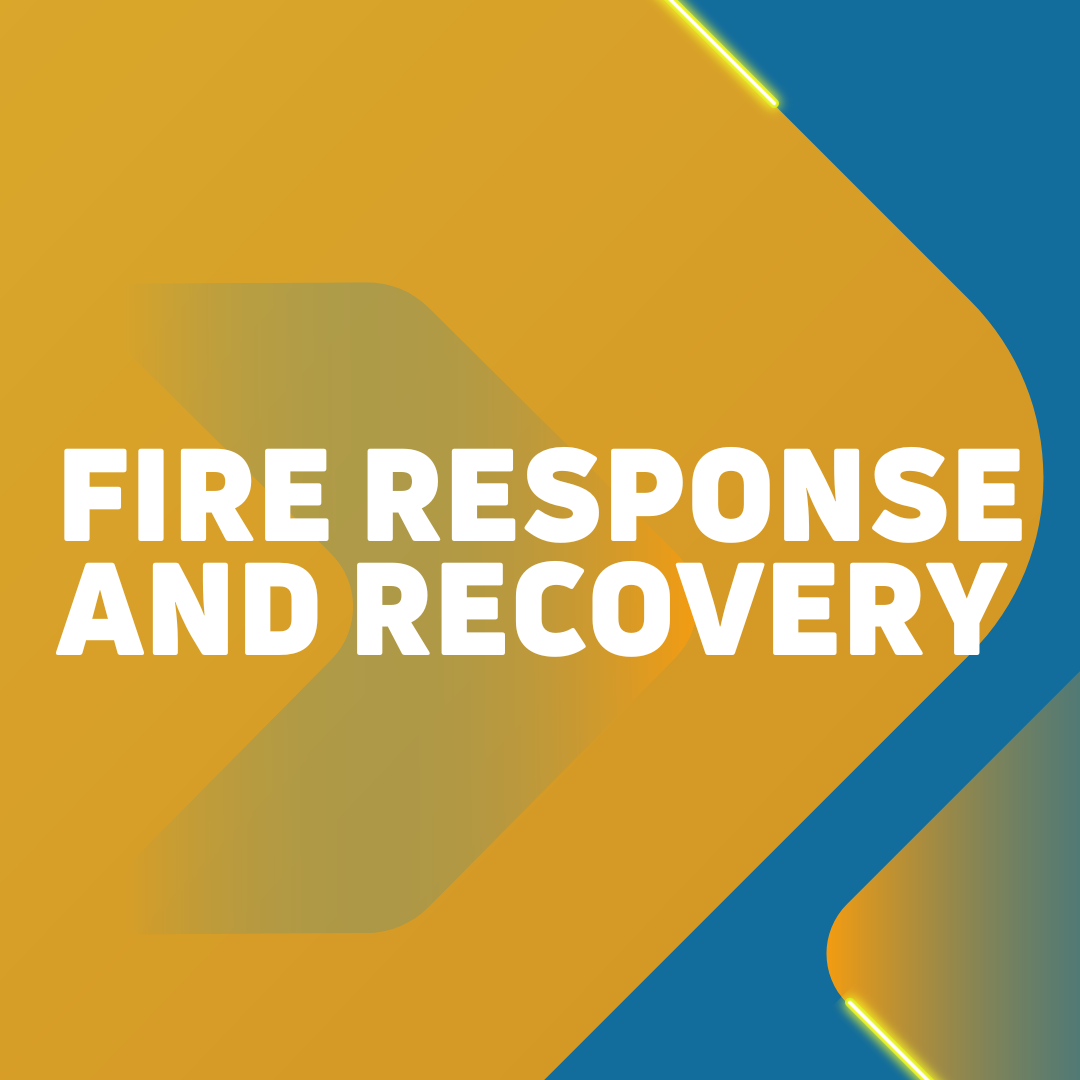 January 2025 Wildfire Response and Recovery : CA Department of ...
