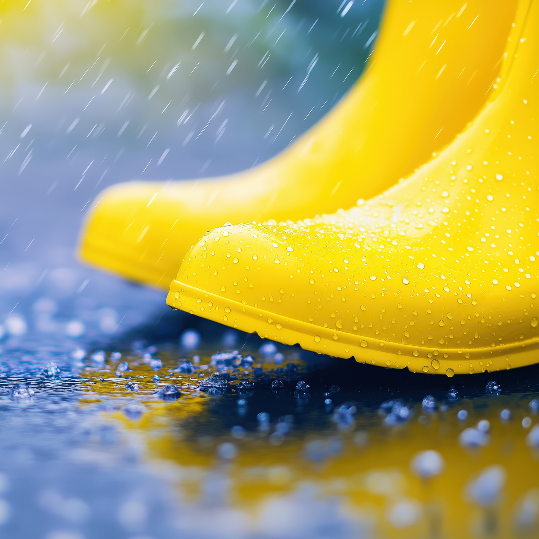 Spring into Action : CA Department of Developmental Services