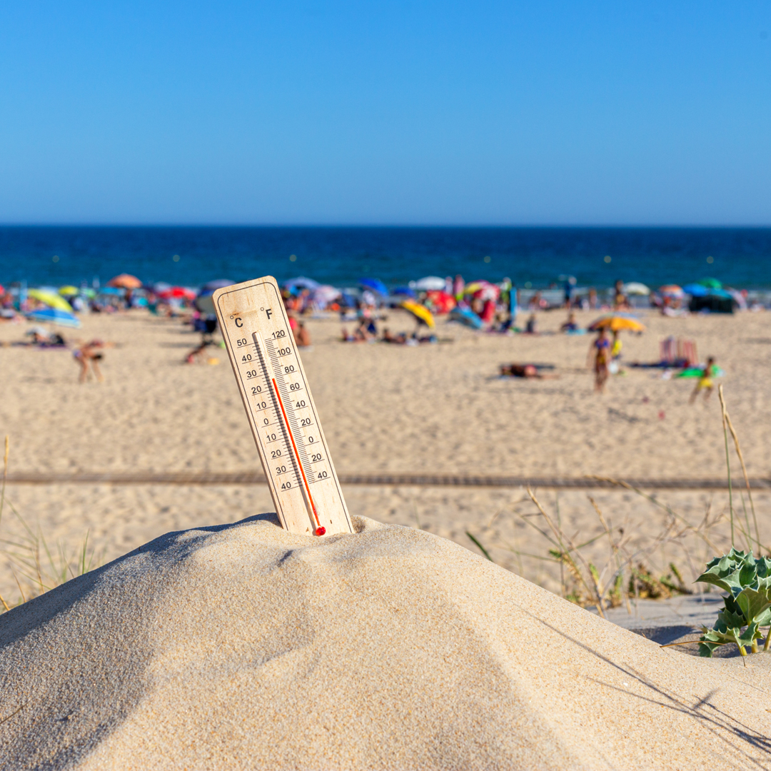 Stay Safe This Summer: Get Our Safety Bulletin : CA Department of ...