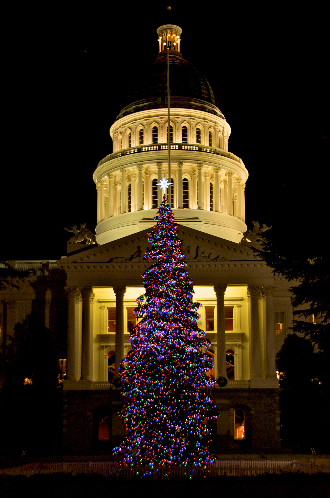 2025 Capitol Tree Lighting : CA Department of Developmental Services